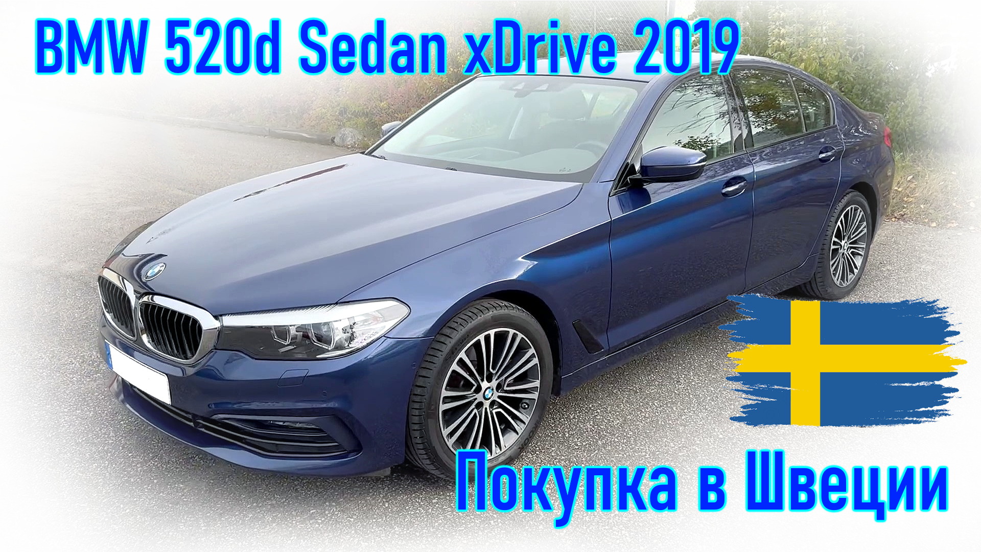 Покупка и пригон авто из Европы (Скандинавия, Швеция). BMW 520d Sedan xDrive 2019 г.в.