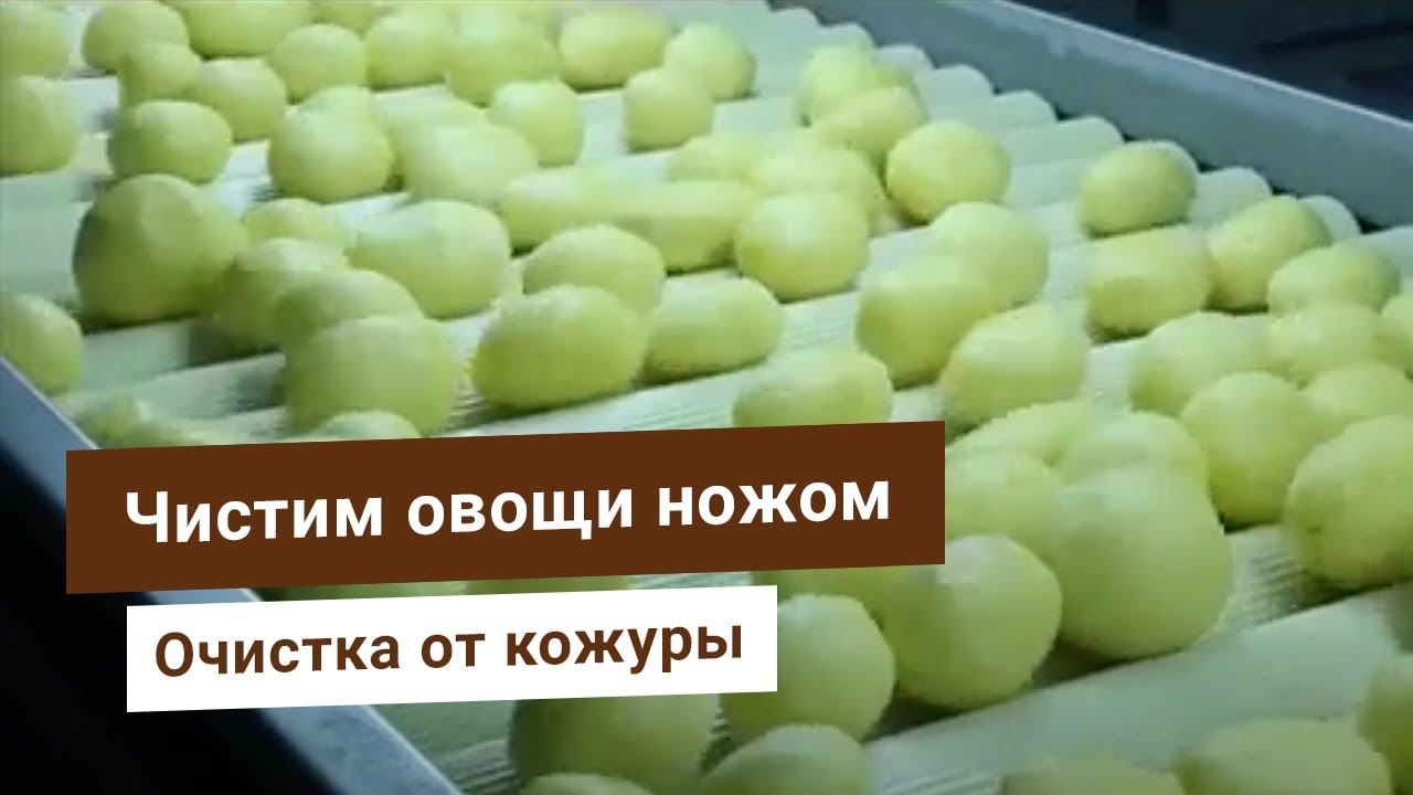 Машина ножевой очистки моркови и картофеля от кожуры. Промышленная чистка корнеплодов – овощечистка.