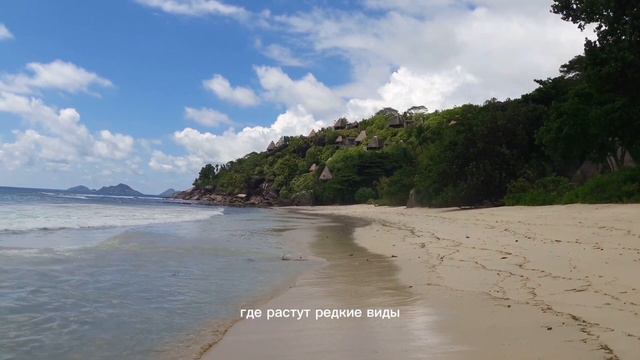 Сейшелы.Часть 3. о Святой Анны,о Праслин,о Ладиг