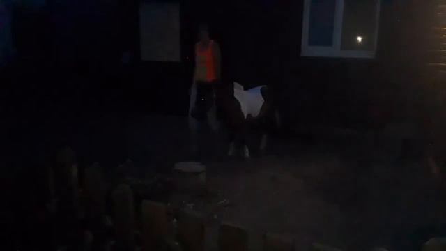 Работа с Конем. Курица Катается на Лошади  / Верховая Езда