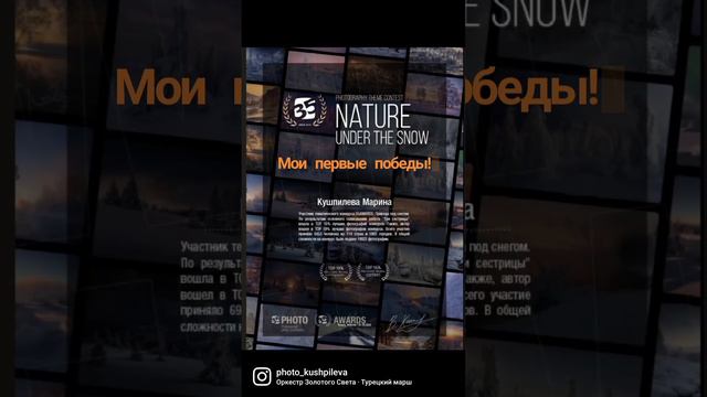 Мои достижения