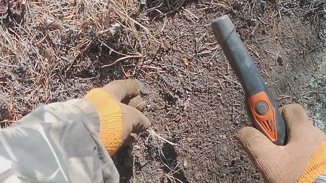 Находки по глубокой старине.