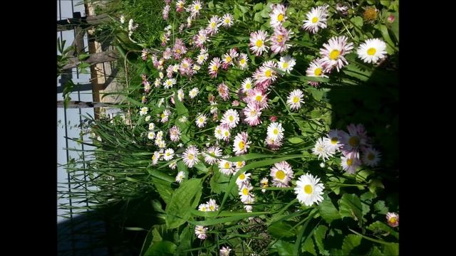 Стихи о жизни, Красота земная,  Татьяна Логиновская