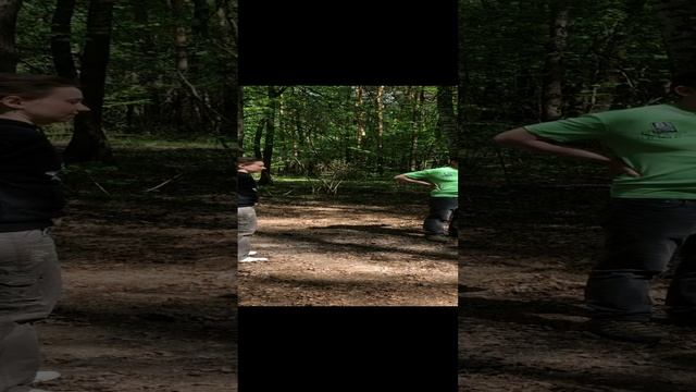 "Прогибы как пружина" - Цигун Иньян-1, добавка