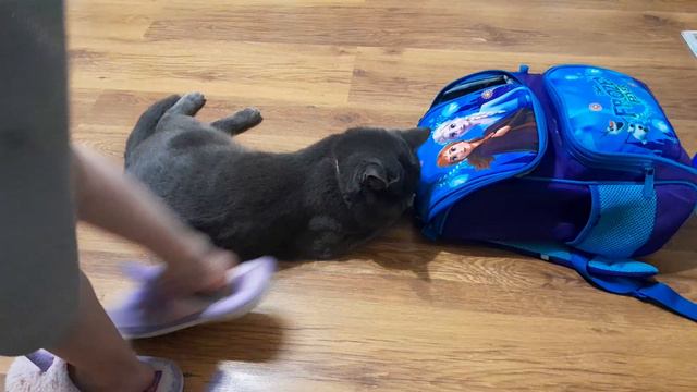 Не дают спокойно отдохнуть