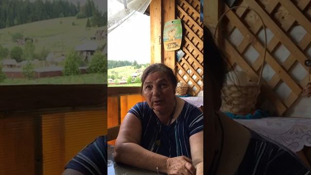 Цветы и растения