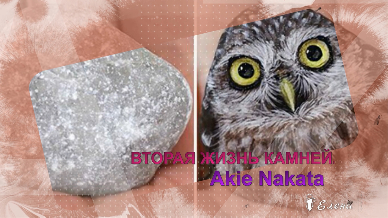 Камням - вторая жизнь *         Художник Akie Nakataа