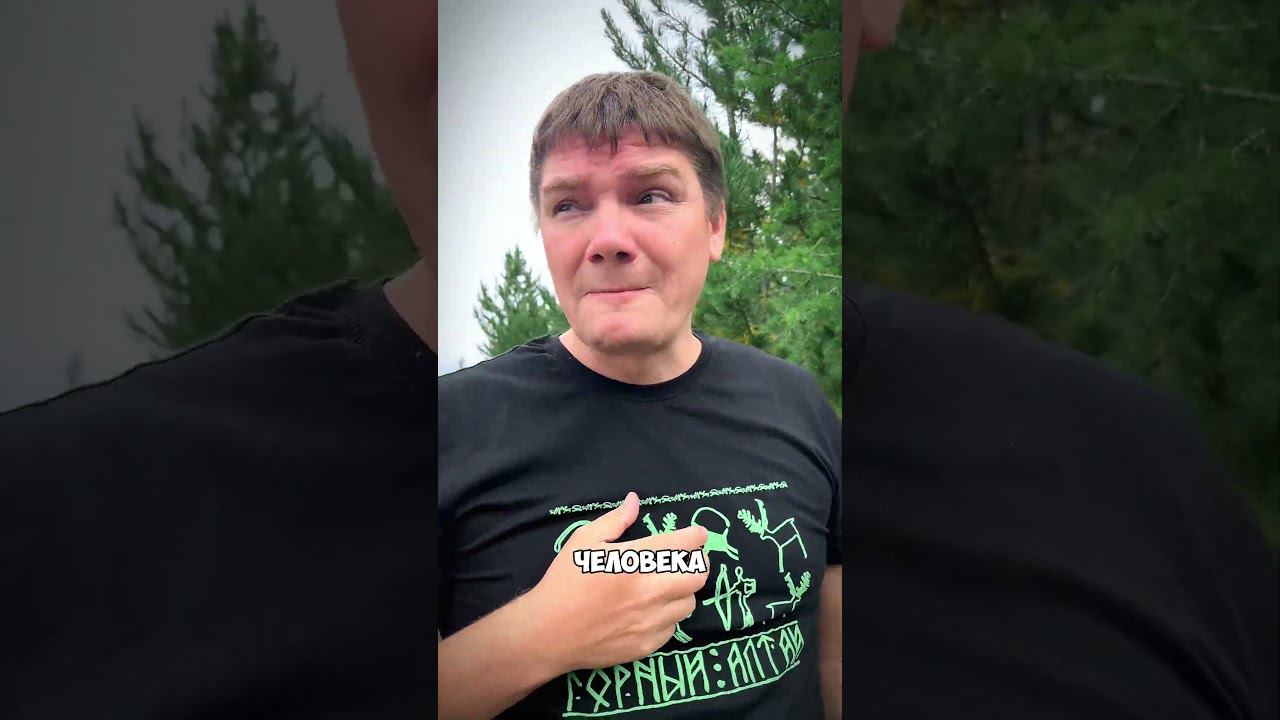 Дорого ли путешествовать в Алтай? #путешествия #алтай