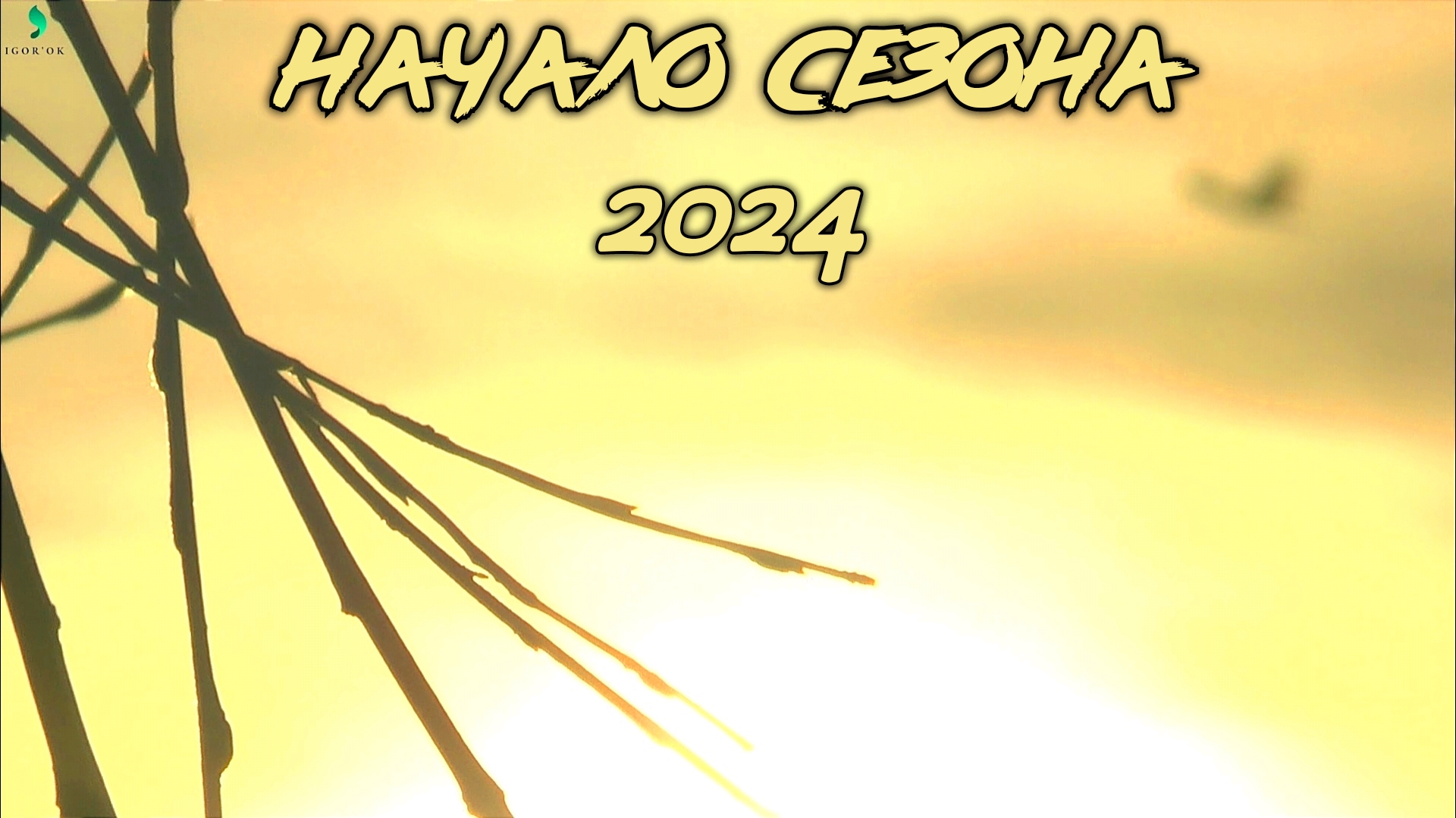 Начало сезона. Рыбалка на закидушки. Река Туба в апреле.