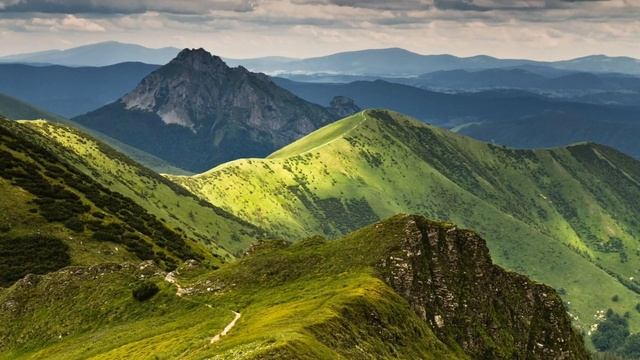 Project AER. Feeling Upside Down