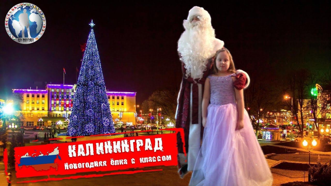 Калининград 🇷🇺 Россия. Новогодняя Ёлка. Первый корпоротив 💯Алекс Авантюрист
