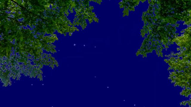 Футаж. Звёздное небо 13