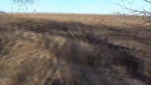 лучшие моменты охотничьего сезона 2019 2020 часть первая, заяц  (бакс продакшн и гоп компания).mp4