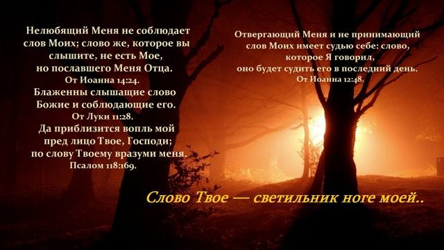 Слово Твоё - светильник ноге моей..