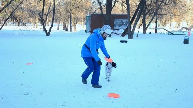 Фризби Вебстайл 2015  Марта и Шкода.mp4