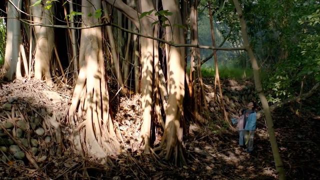 STRAY DOGS - Tsai Ming-liang (trailer)