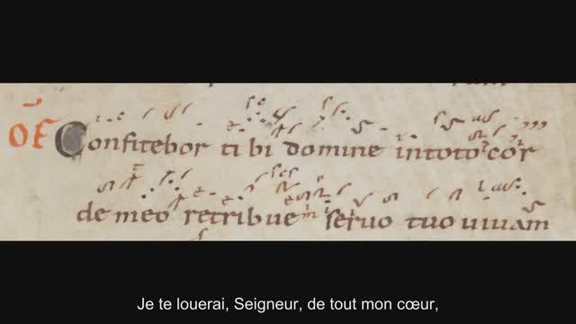 Confitebor tibi Domine