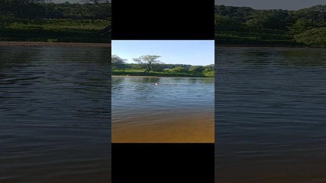 20230614_Москва река. Сезон 2023 открыт