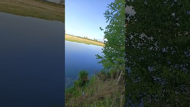 И рыбу половили и тачку помыли, удобно! ?