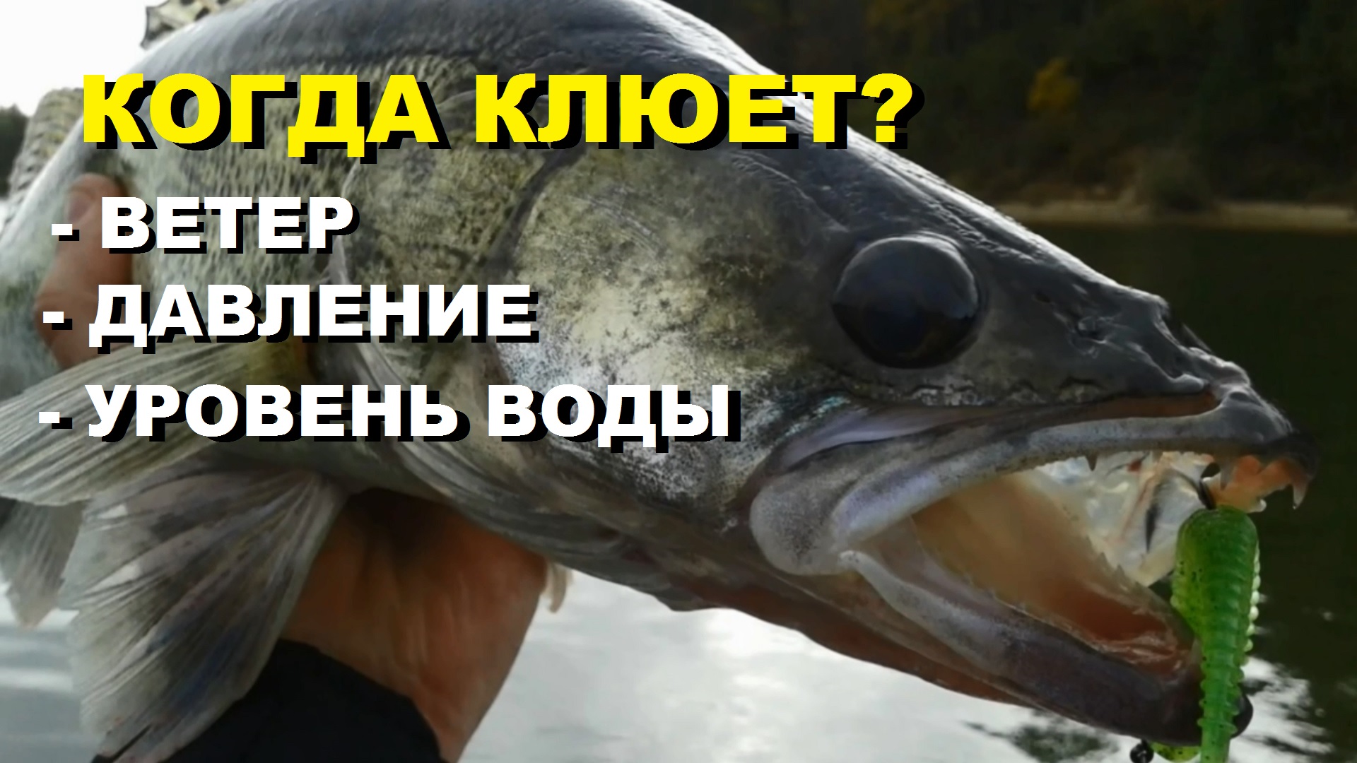 РЫБАЛКА 2023 - ХОРОШИЙ КЛЁВ_ 10 условий. ВАЖНАЯ ИНФОРМАЦИЯ для начинающих... и не только! #рыбалка