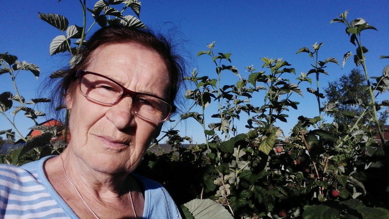 08.08.2023 Пришло время пересаживать цветы