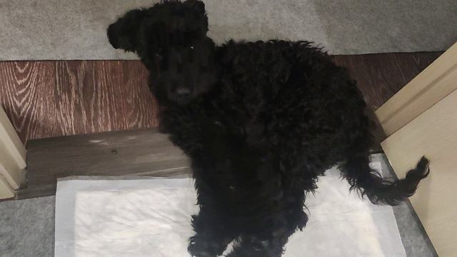 Здоровый сон