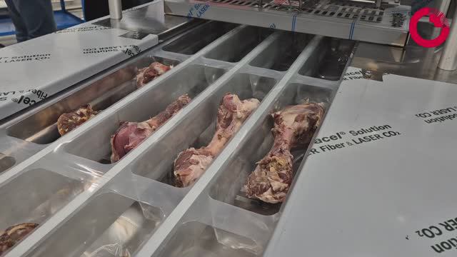 Термоформер COLIMATIC  THERA 500 - упаковка лакомств для животных