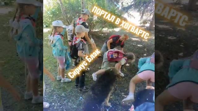 Квест Гарри Поттер.