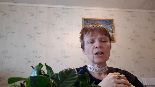 Рыночный фон. Жив ли российский рынок? Какие акции обхожу.