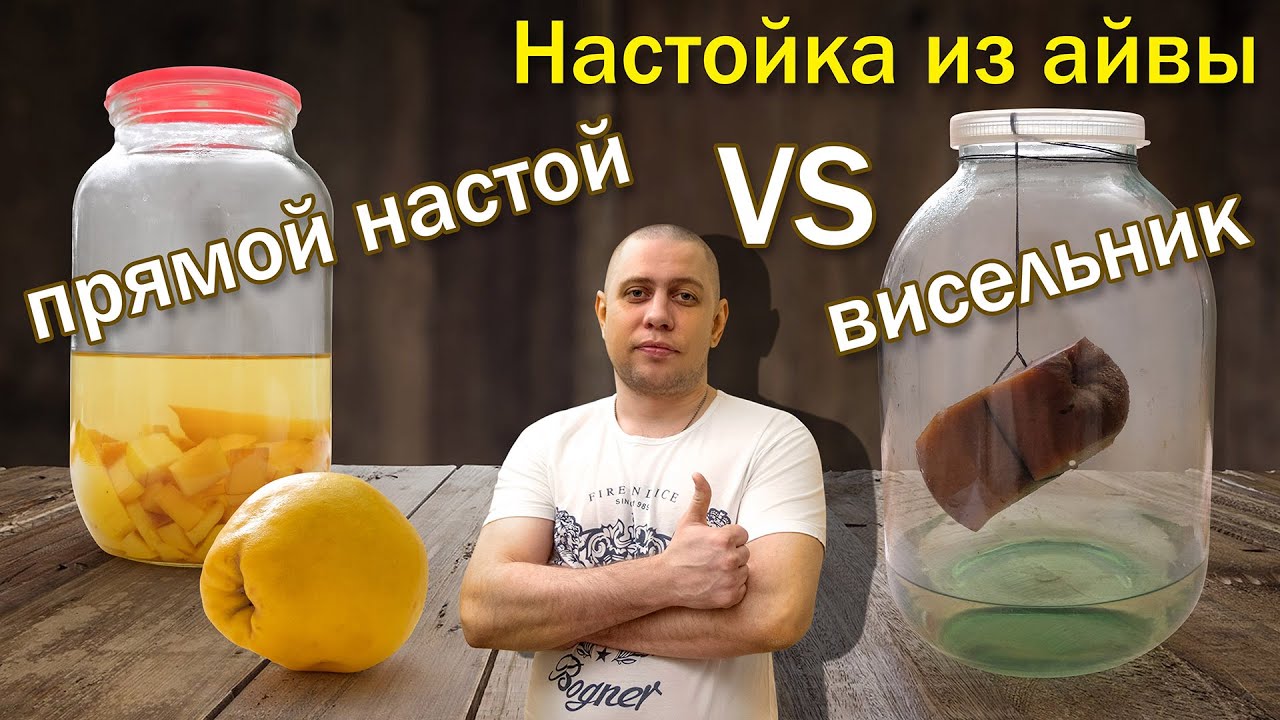Настойка на айве и спирте_  Настойка _Висельник_ против Прямого настоя!!!!