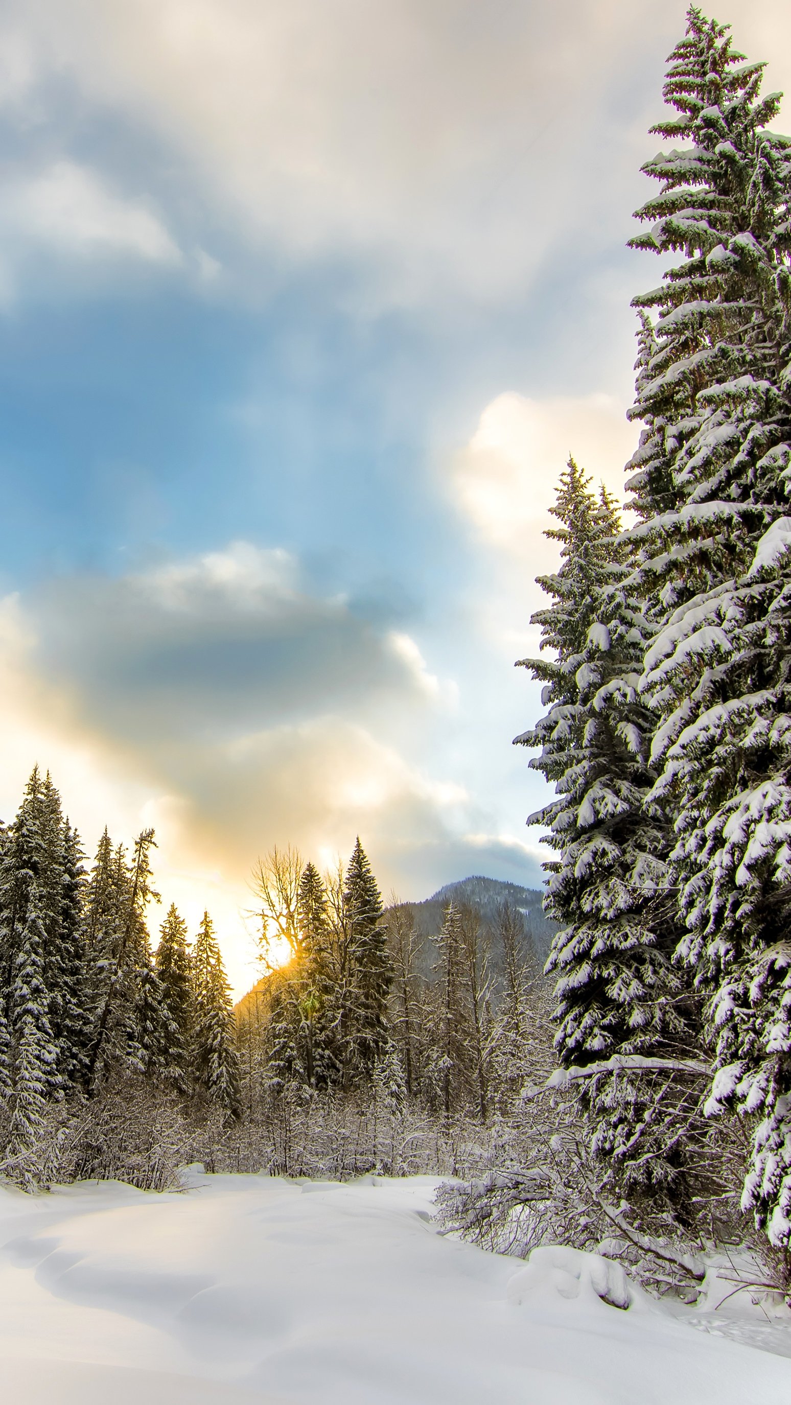 ❄️ С зимним добрым утром!