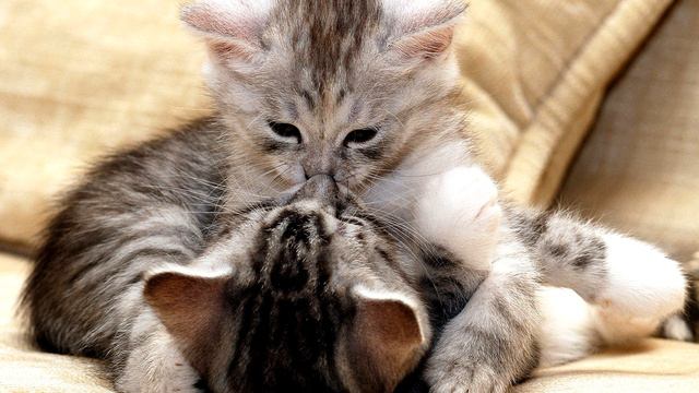 ВДЫХАЯ ДРУГ ДРУГА 2013