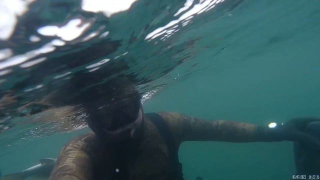 Охота на горбыля. Лазаревский район. 2023