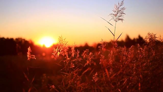 Ангел белый или черный