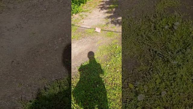 ?клещи, визуальный осмотр