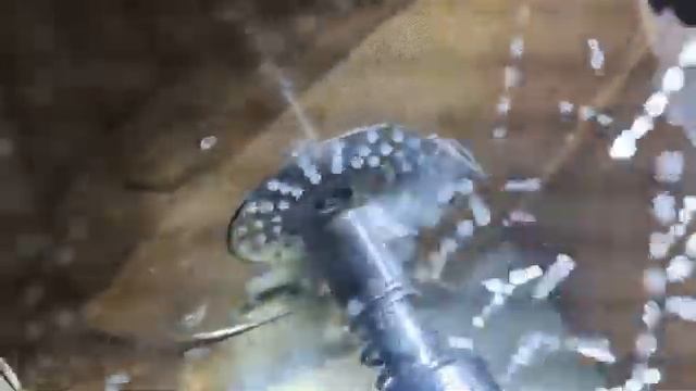 Мини-гранулятор для пластика HD-75 с ручным фильтром (видео №2 от завода-изготовителя)