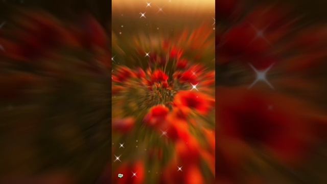 Пусть утро будет прекрасно