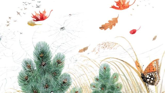 Синичкин календарь. Сентябрь