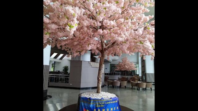 2019.08.26 НАШ ФЛАГ. Автор Ледовский Никита