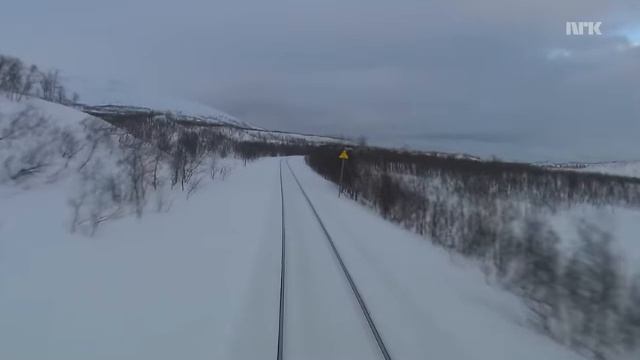 Тропы, 2 часть