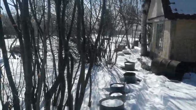 мамина дача,8.03.2024