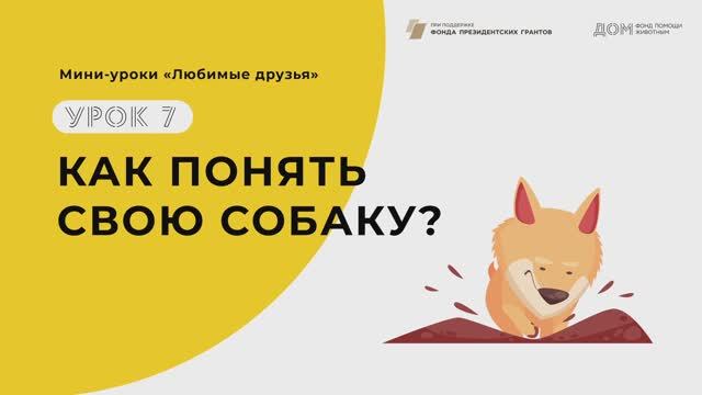 Цикл «Любимые друзья». Урок №7. Как понять свою собаку?