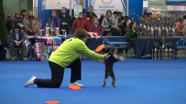 Показательные выступления Таня и Чижик