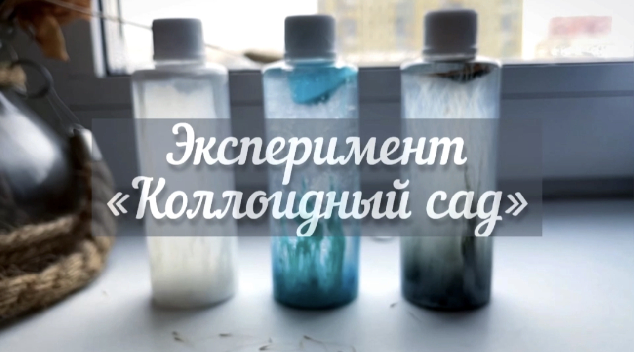Эксперимент «Коллоидный сад»