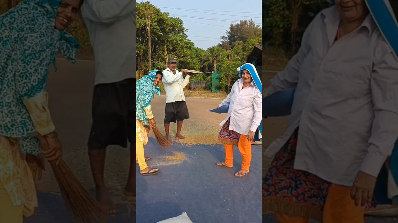 Рисом по ветру