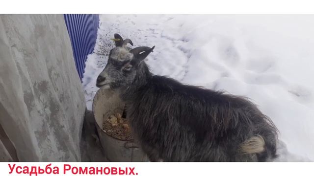 2022г.Новости хозяйства,январь