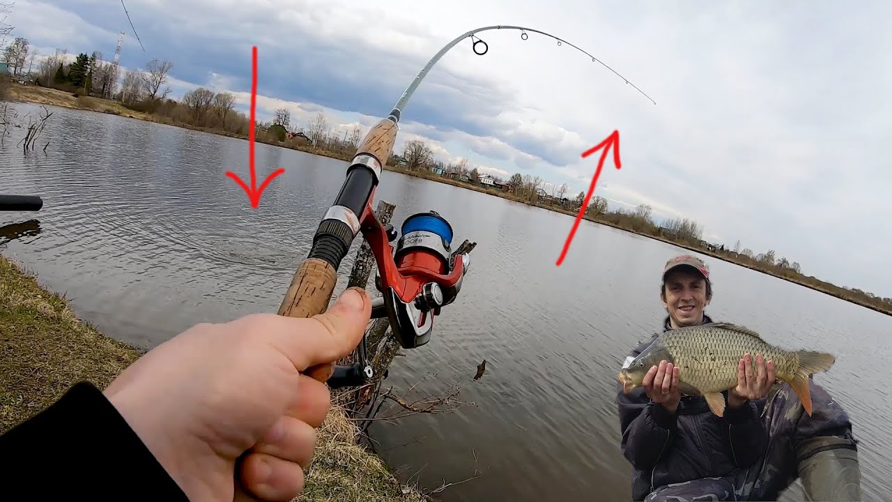 ДВА КАРПА Клюнули СРАЗУ! Рыбалка на КАРПА на удочки и пикера