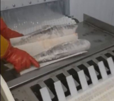 Спиральный фризер для рыбы