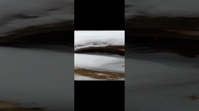 ❗ФЛАММУЛИНА ПРОДОЛЖАЕТ ИДТИ В РОСТ❗