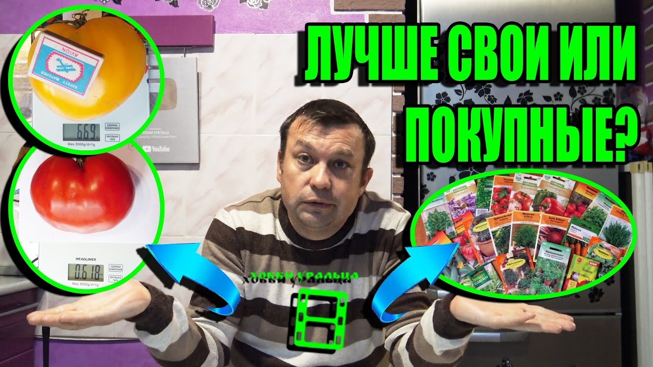 ЧТО ЛУЧШЕ? ЗАГОТОВИТЬ ДОМАШНИЕ СЕМЕНА ИЛИ КУПИТЬ СЕМЕНА? САД (ОГОРОД) И ТЕПЛИЦА 21-3